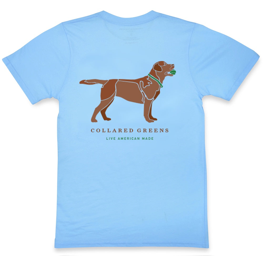 Good Boy: Short Sleeve T-Shirt - Chocolate Lab on Carolina – Bird Dog Bay